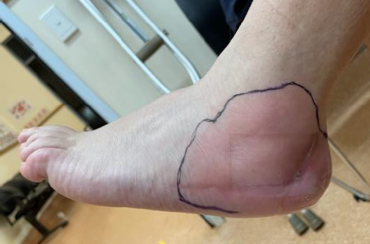 Management | The Bone School